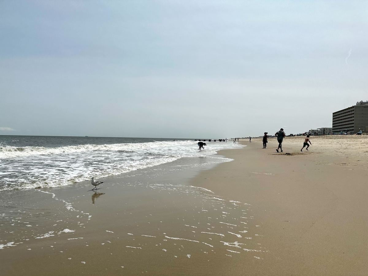 Delaware beaches prep for summer season - WHYY