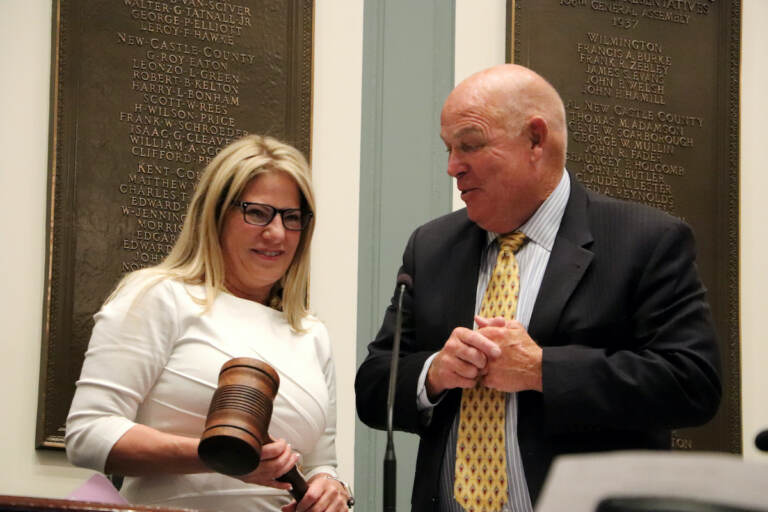 Valerie Longhurst is Delaware’s 1st female House speaker - WHYY