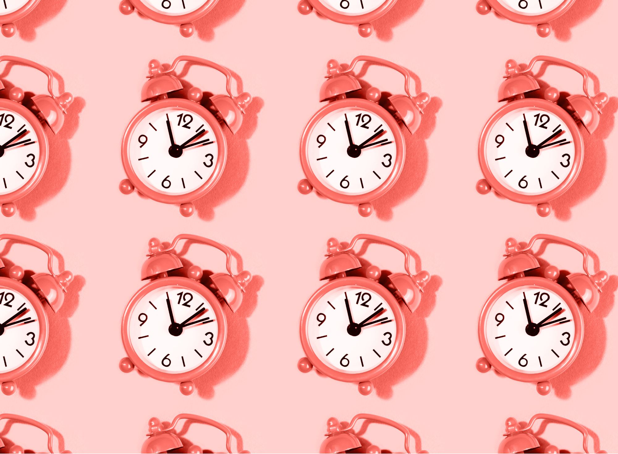 Early Bird or Night Owl, New Philly Zoo President, Voices From the Polls