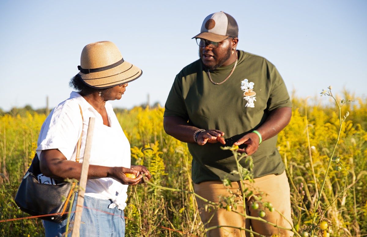 Lima beans could be key to climate resilient crop - WHYY