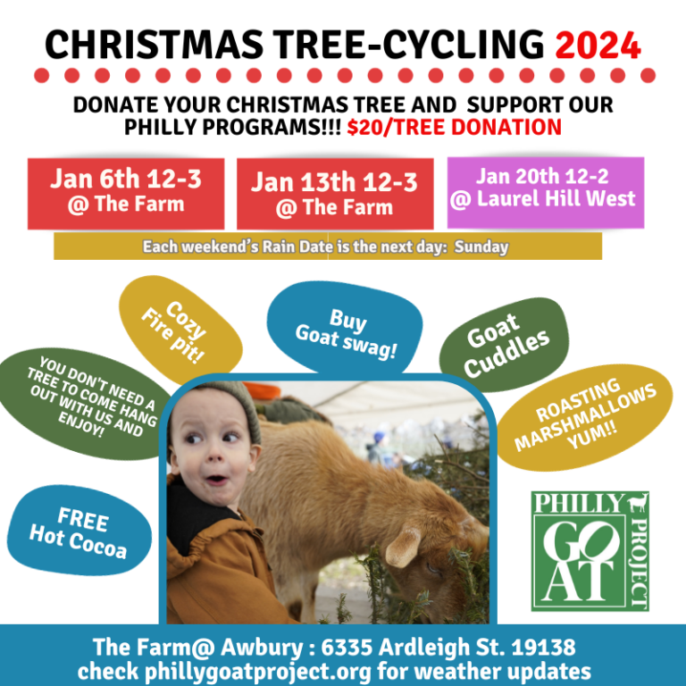 Philly Goat Project hosting sixth annual Christmas Tree-Cycle - WHYY