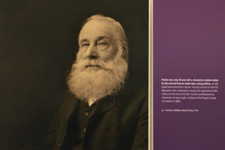 Philly Science History Institute exhibit ‘BOLD’ shows us how we dye - WHYY