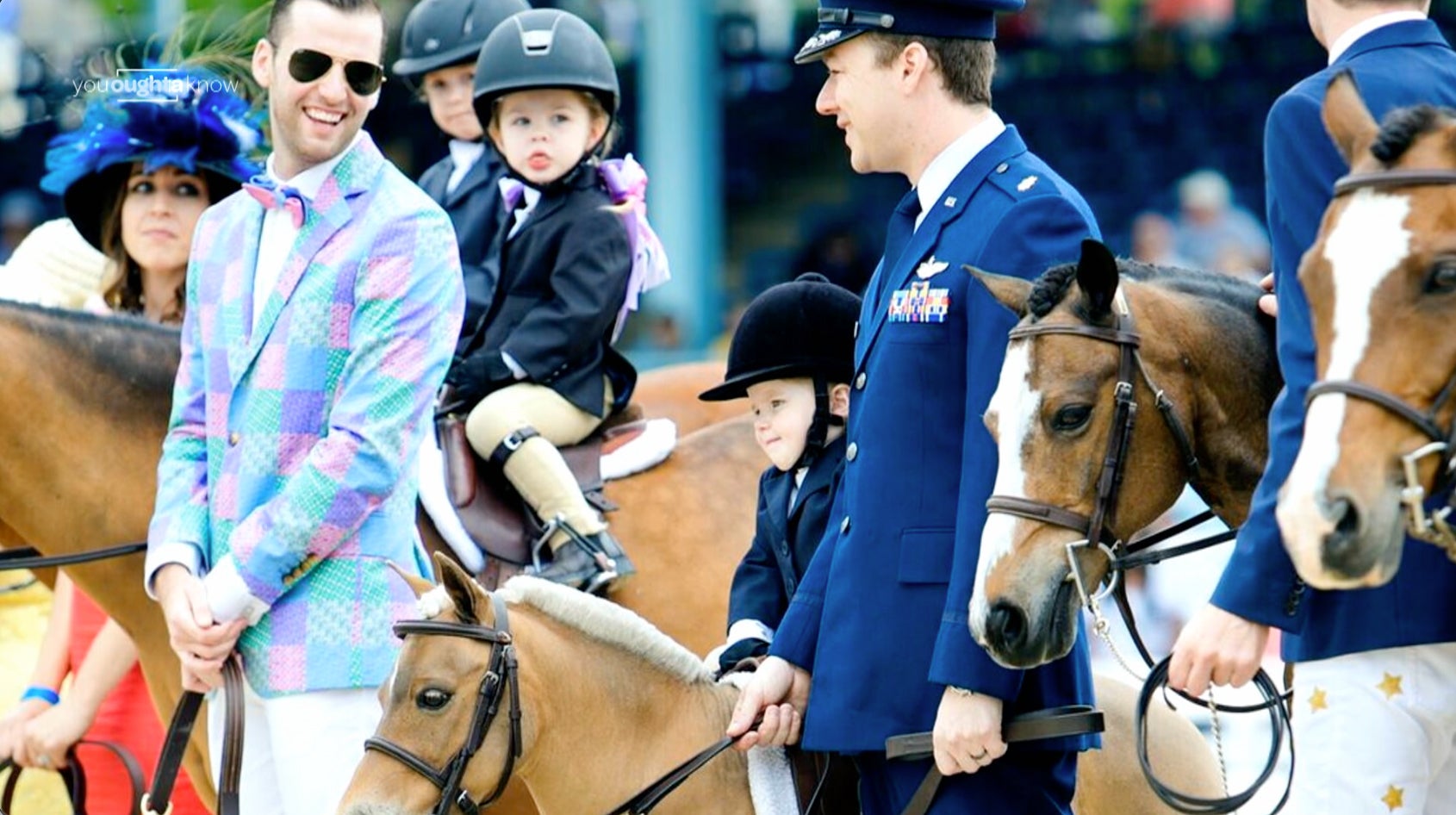 Devon Horse Show Transforms into Magical Yuletide Experience - WHYY