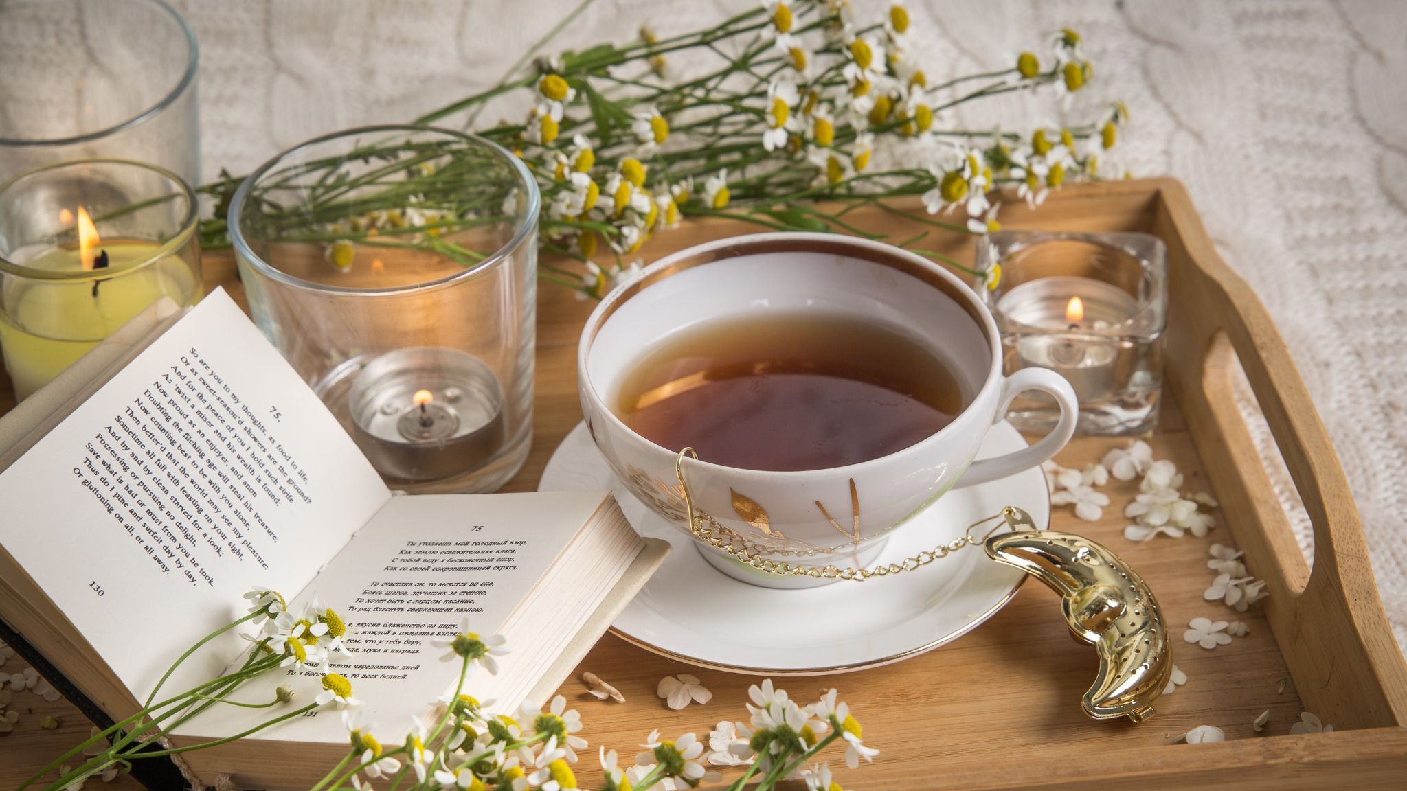 The Chemistry of Tea, Lyla in the Loop, Morton Cranial Collection - WHYY