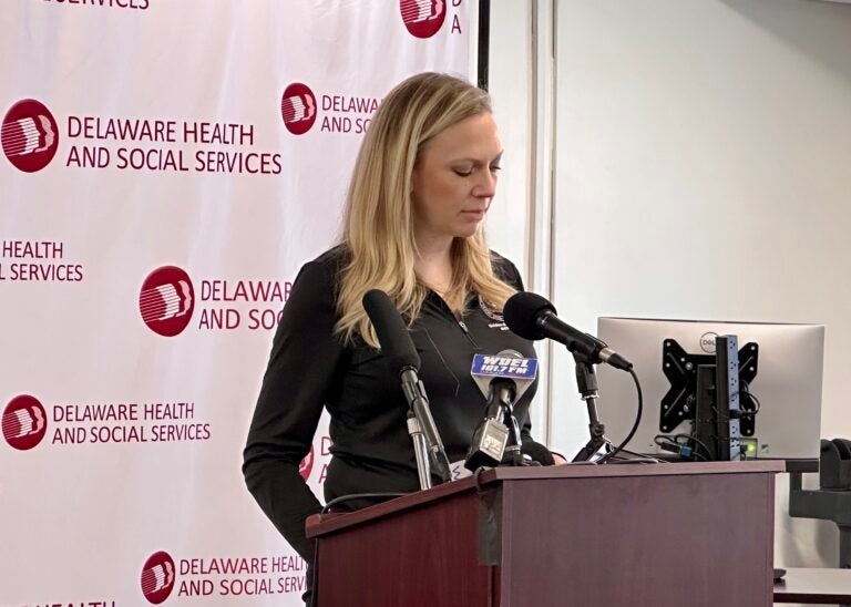 Delaware leaders reveal housing and substance disorder correlation - WHYY