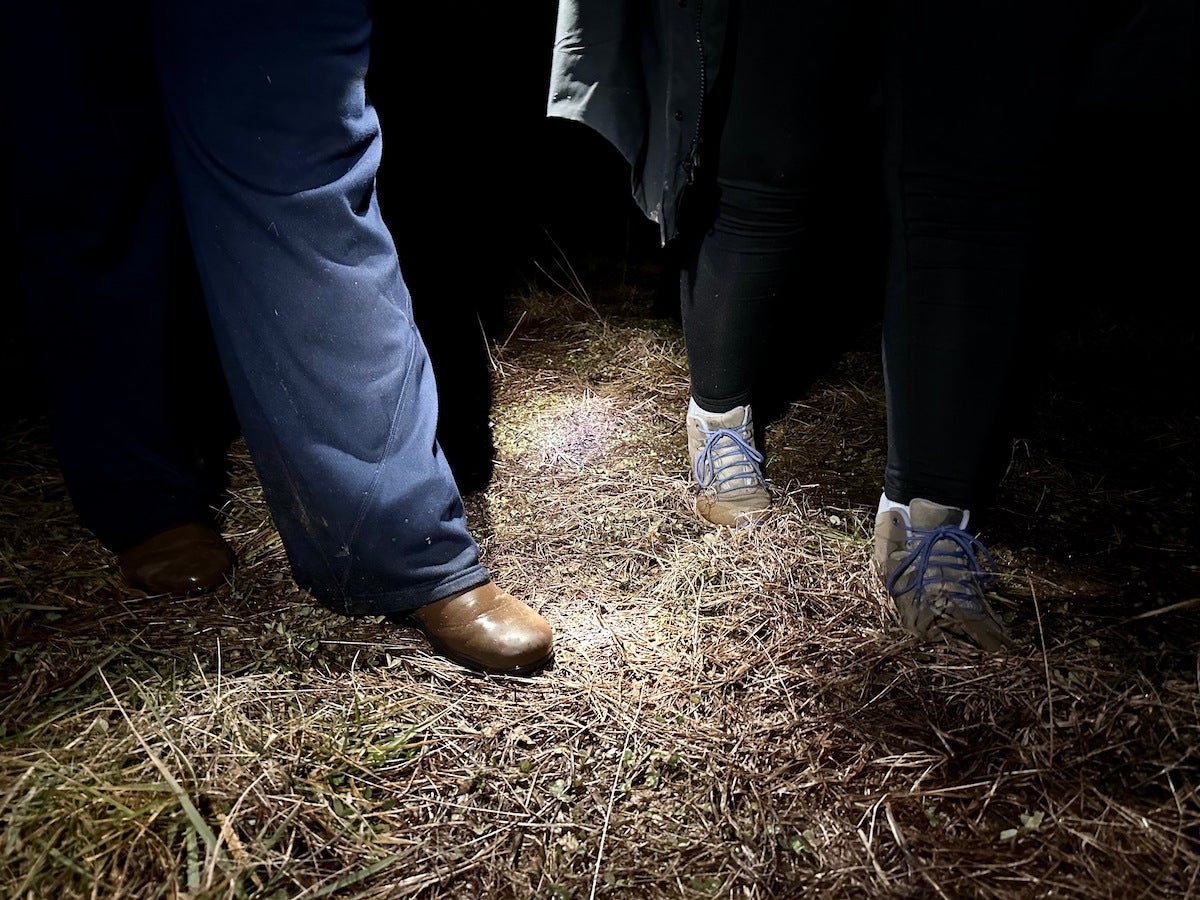 Delaware homelessness point-in-time count inside look - WHYY