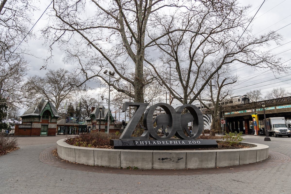 Former Philly Zoo CEO Vik Dewan isn’t retiring from philanthropy - WHYY ...