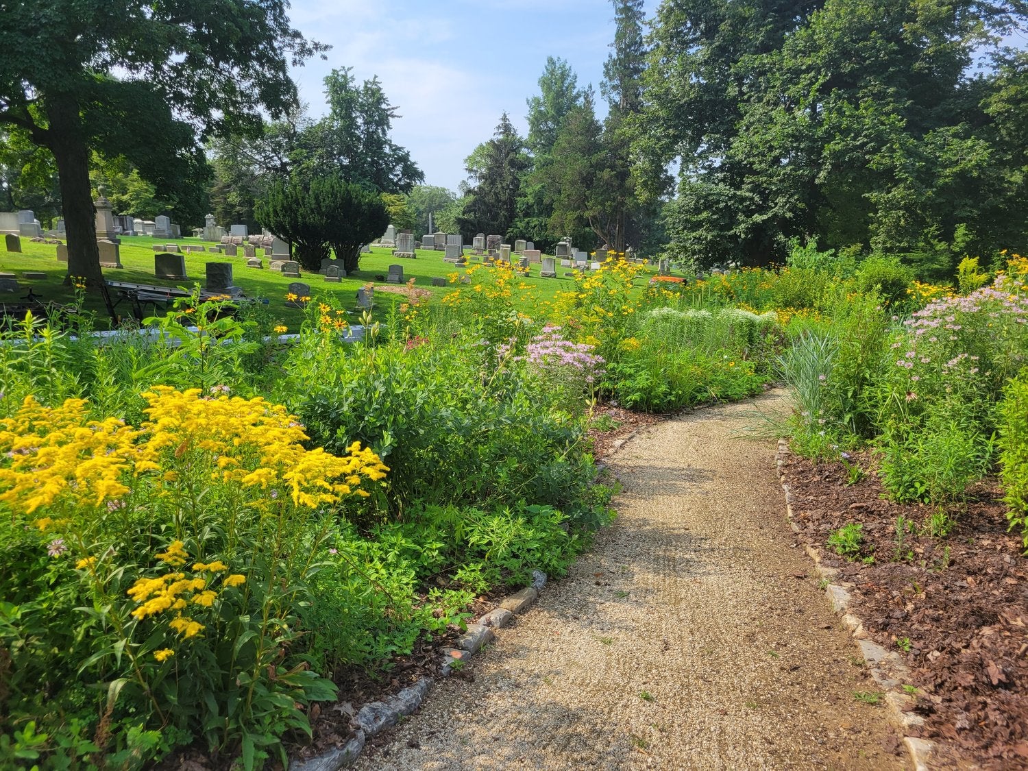 Eco-Friendly Burials on the Rise, Learning to 'Speak' Whale - WHYY