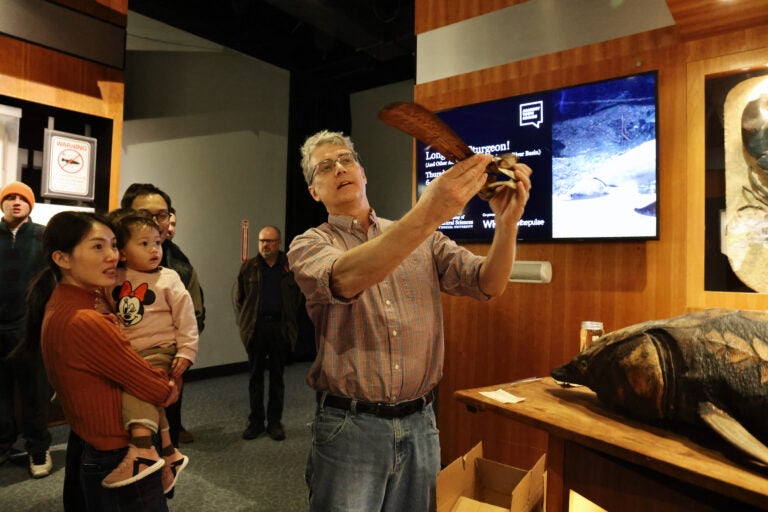 WHYY, Academy of Natural Sciences discuss Atlantic Sturgeon, Delaware ...
