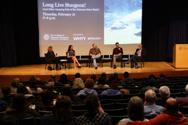 WHYY, Academy of Natural Sciences discuss Atlantic Sturgeon, Delaware ...