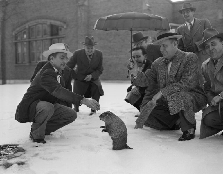 The origins of Groundhog Day and Punxsutawney Phil - WHYY