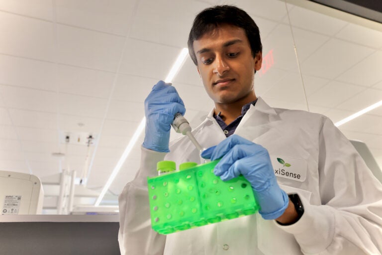 Penn student has plan to halt bloodletting of horseshoe crabs for ...