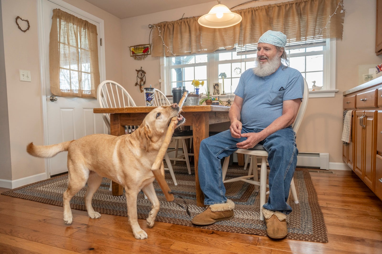 Penn Medicine nurse who trains service dogs turns to pups for help post ...