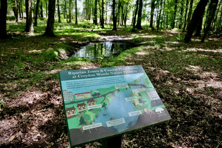 Croydon Woods, a Superfund site, earns environmental stewardship awards ...