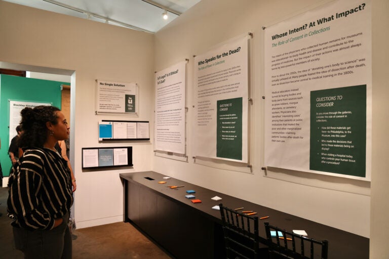 Philly's Mütter Museum opens new exhibition - WHYY