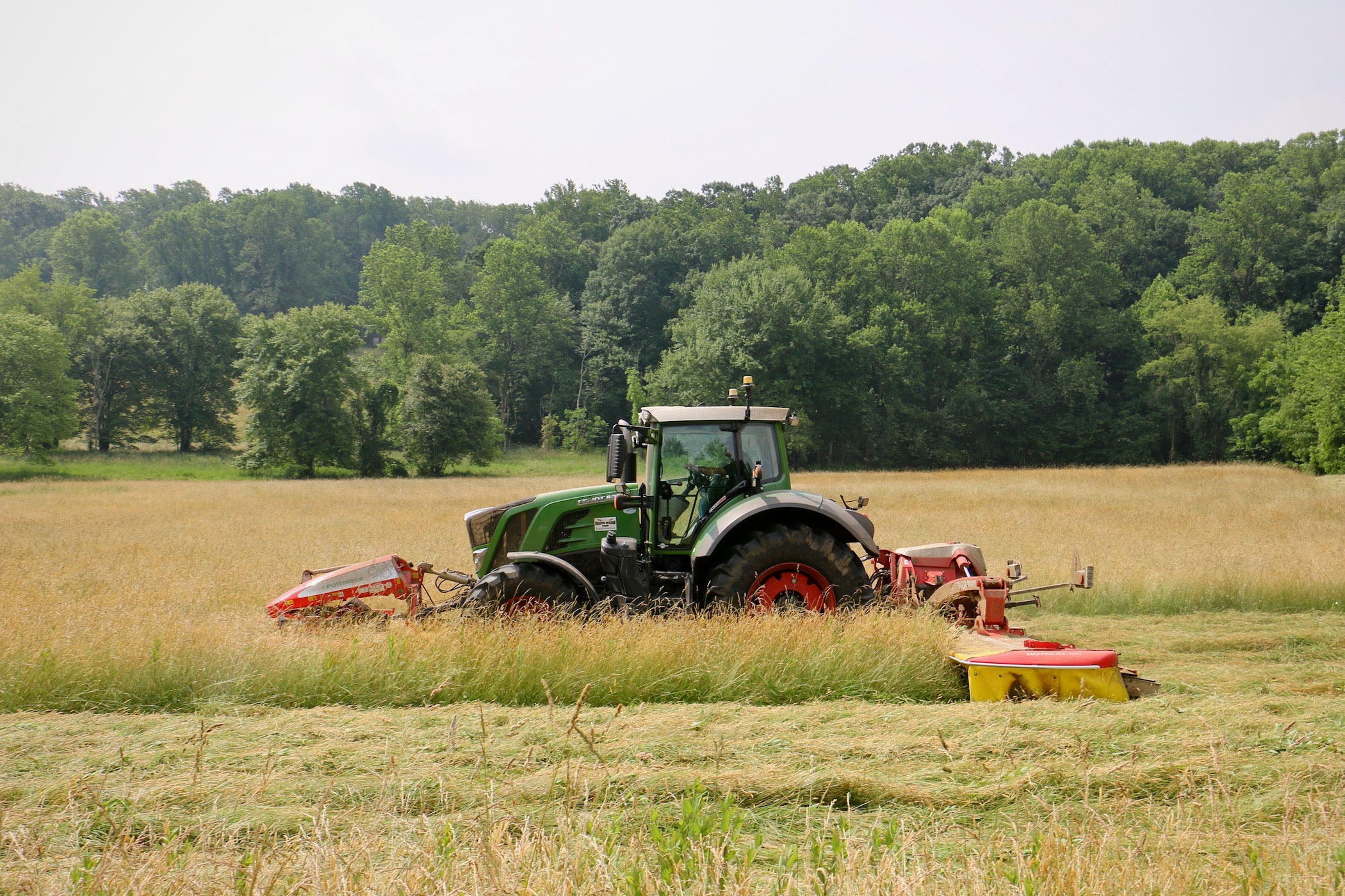 Grassland Bird Collaboration aims to help Chesco birds - WHYY