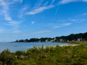 Southern Del. ecological preserve adding education campus - WHYY