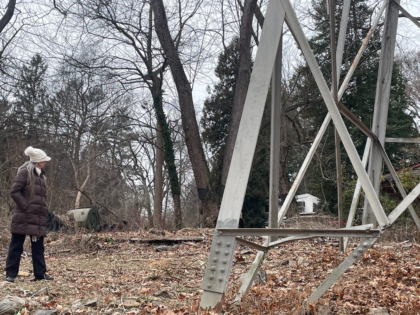 Arden and Delmarva Power battle over tower replacement - WHYY