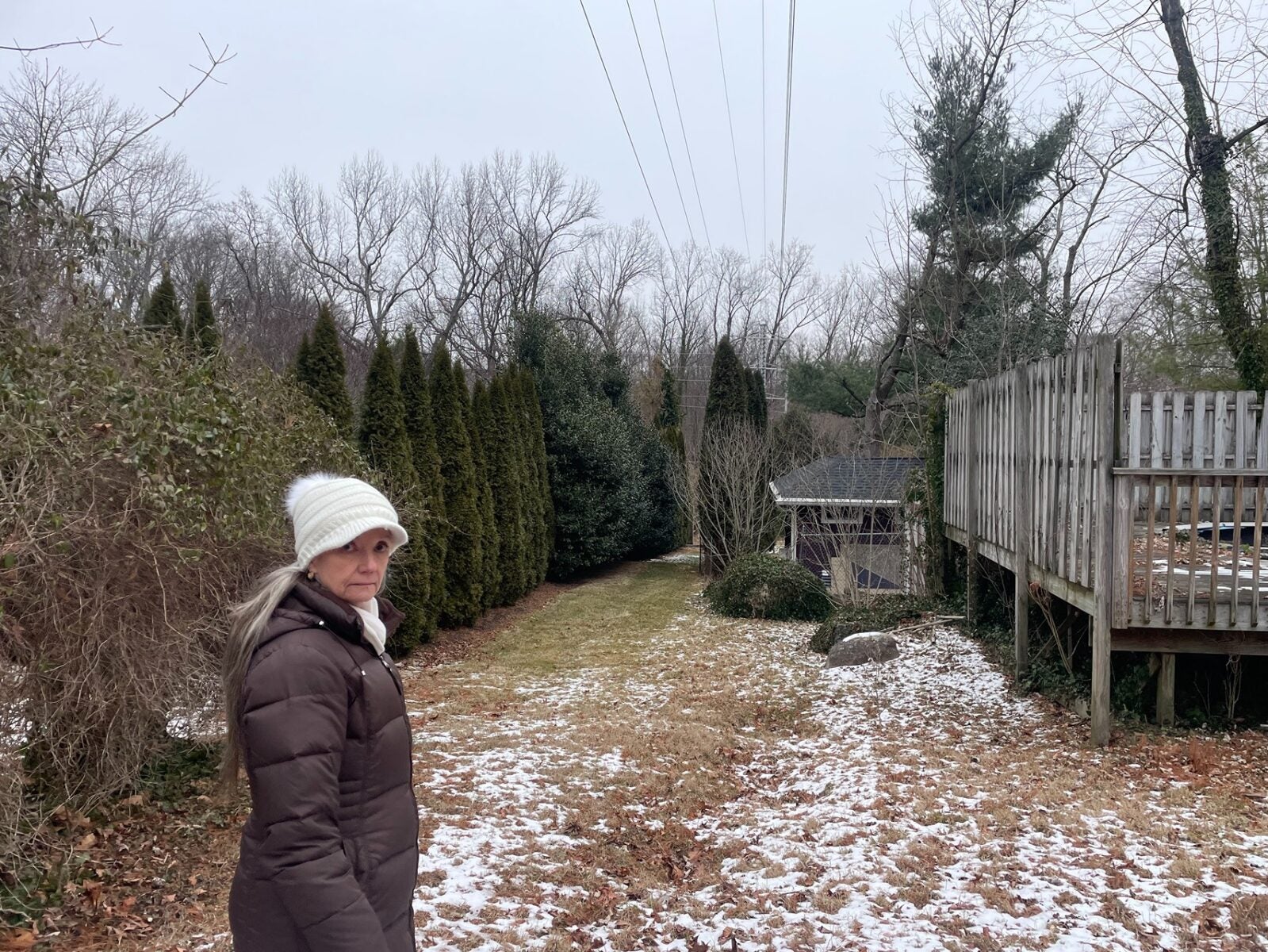 Arden and Delmarva Power battle over tower replacement - WHYY