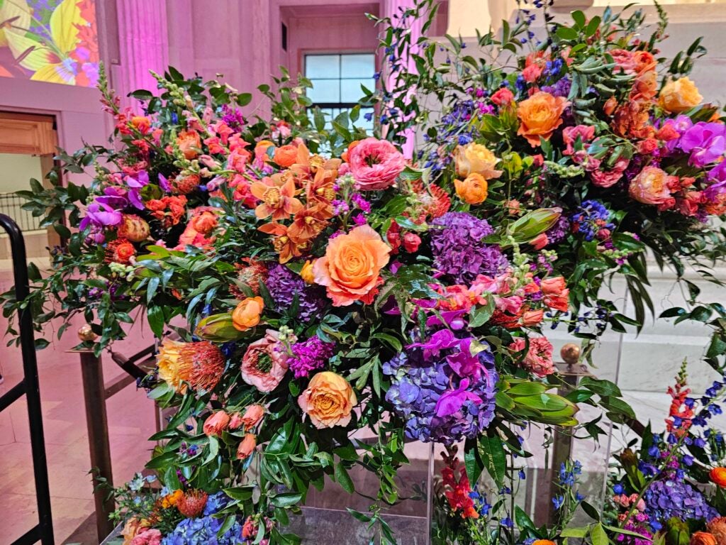 Things to do this weekend in Pa., N.J. and Del. - WHYY