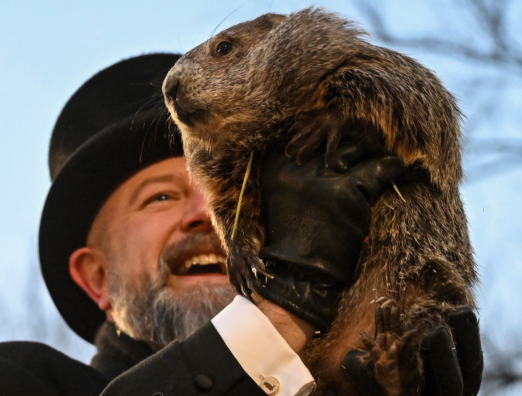 Punxsutawney Phil sees shadow, predicting 6 more winter weeks - WHYY