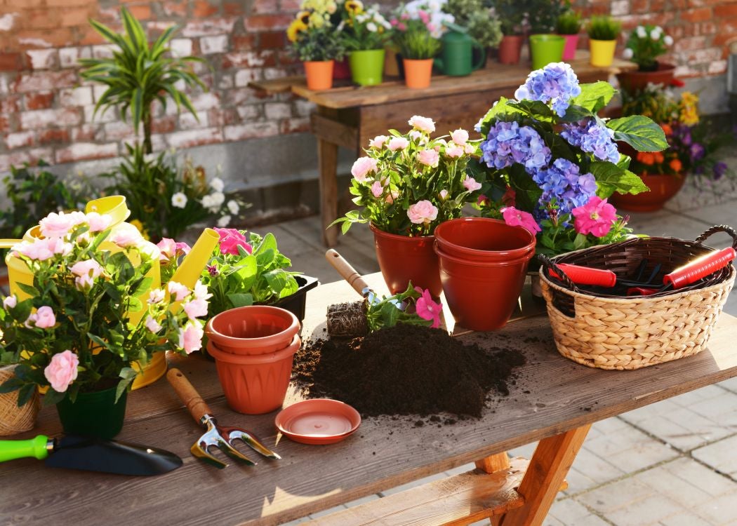 Spring gardening essentials - WHYY