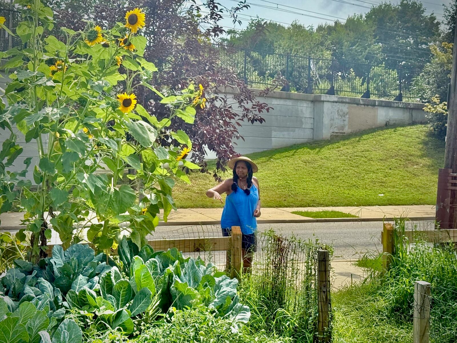 Nicetown-Tioga residents celebrate greening initiatives - WHYY