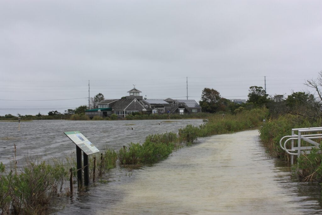 NJ to restore salt marshes, Scotch Bonnet Island - WHYY